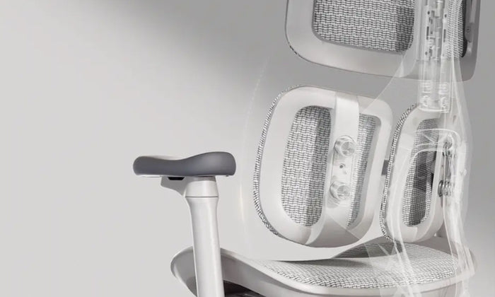 Dual Dynamic Lumbar Support: Revolutionizing Comfort in Ergonomic ...
