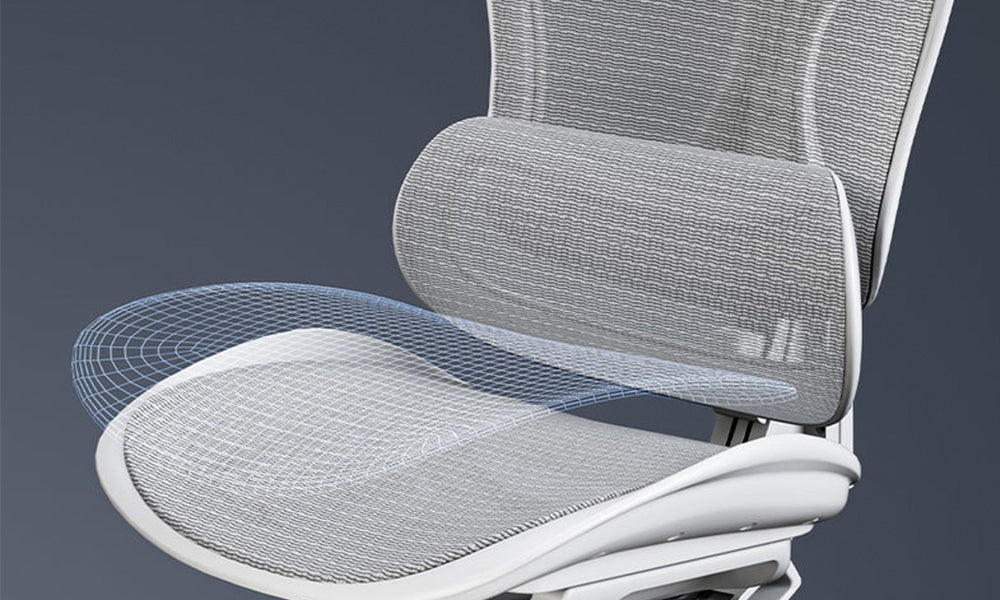 Discover the Best Support Office Chair: SIHOO Doro C300 with Dynamic ...