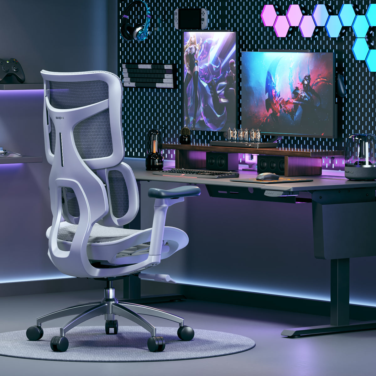 Sihoo Doro S100 Ergonomic Office Chair With Dual Dynamic Lumbar Support