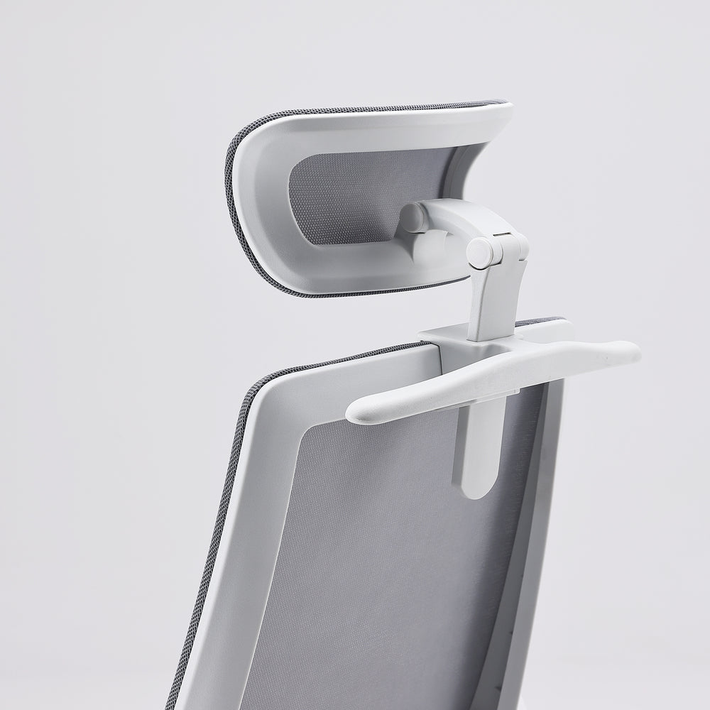 Sihoo Doro-C300 Ergonomic Office Chair