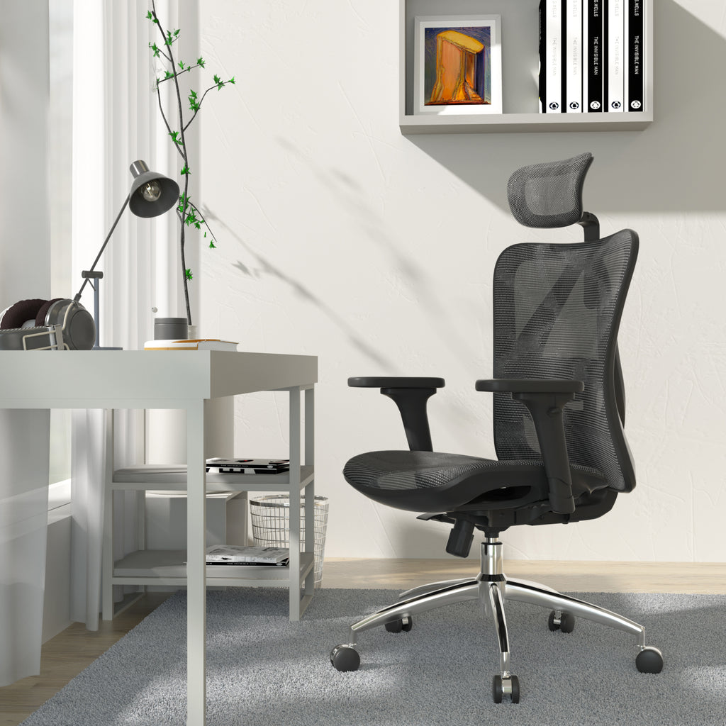 Sihoo M57 Full Mesh Breathable Office Chair for Sedentary Lifestyle