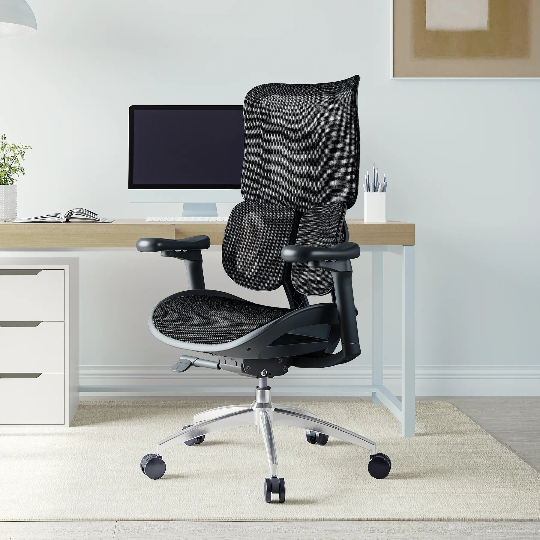 Sihoo Doro S100 Ergonomic Office Chair with Dual Dynamic Lumbar Suppor